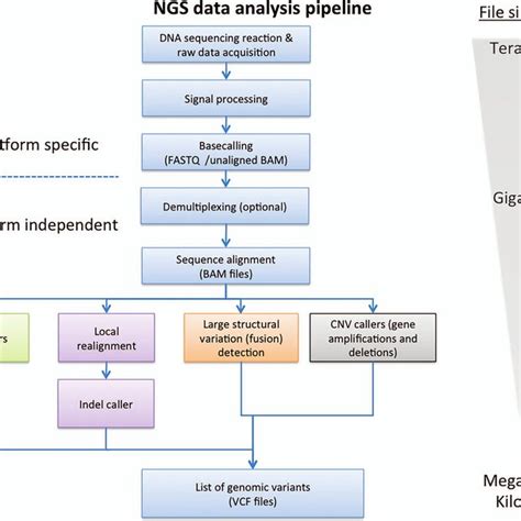 General Schema For Bioinformatics Workflow For Next Generation