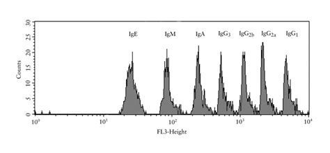 Bd Biosciences Cytometric Bead Array Cba Assay Kit 서린바이오사이언스