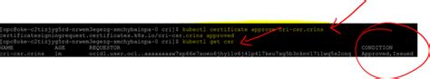 Oci Oracle Container Engine For Kubernetes Oke Using Client
