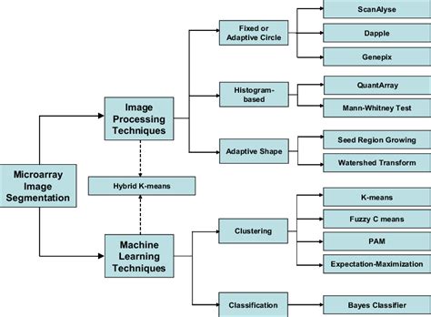 Current Status Of Microarray Image Segmentation Methods Download