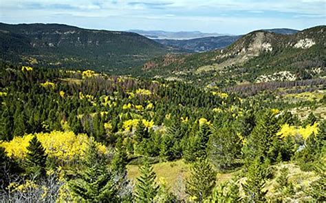 Helena Lewis And Clark National Forest Archives Alliance For The Wild