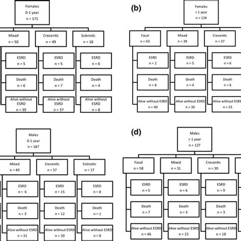 A Flow Chart Demonstrating Outcomes Of Females In The Study Cohort