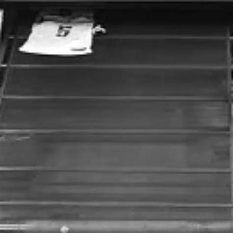 Conveyor T Shirts Htpwe Koqei Fsod Psxy Object Detection Dataset By Roboflow100vl Fsod