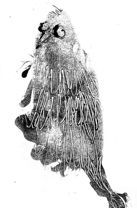 Monotyping On Behance Monotyping On Behance