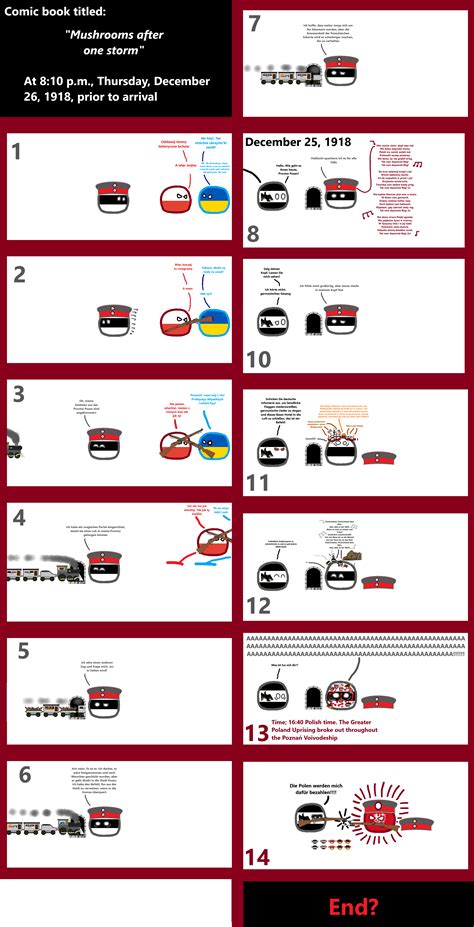 A Countryballs Comic Created By Me Titled Mushrooms After One Storm This Comic Is Based On A