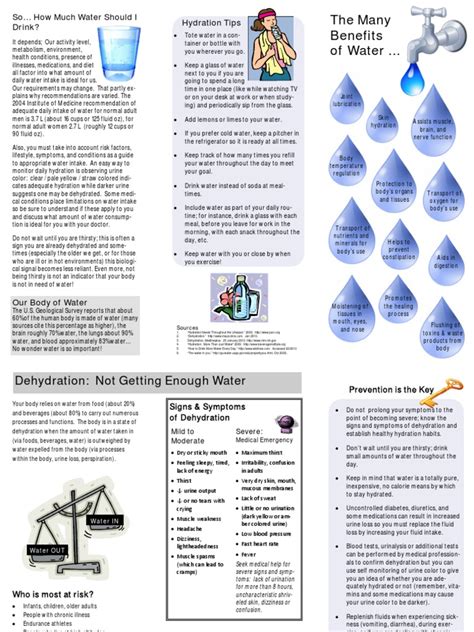 Hydration Flyer Pdf Dehydration Urine