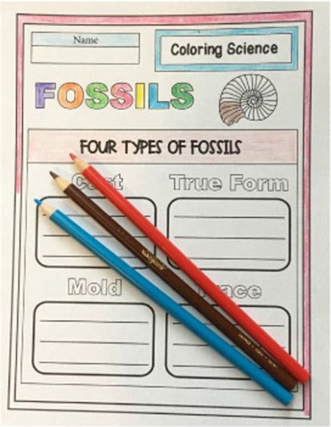 Fossils And Types Of Fossils Activities Etsy