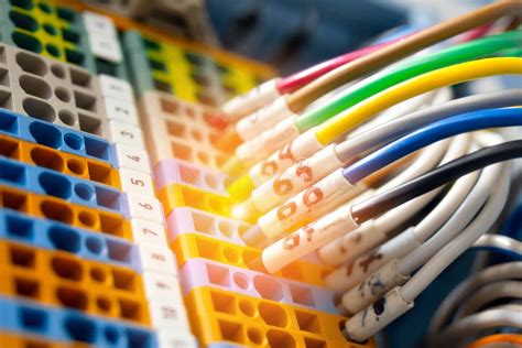 Network Cables Connected To Switch Many Multi Colored Wires Connected To Digital Hub