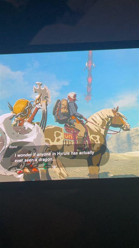 No R Botw Memes