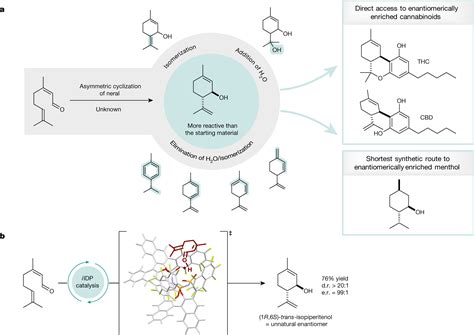 Catalytic Asymmetric Synthesis Of Cannabinoids And Menthol From Neral Trendradars