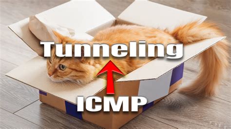 What Is ICMP And How To Tunnel It ICMP Breakdown YouTube