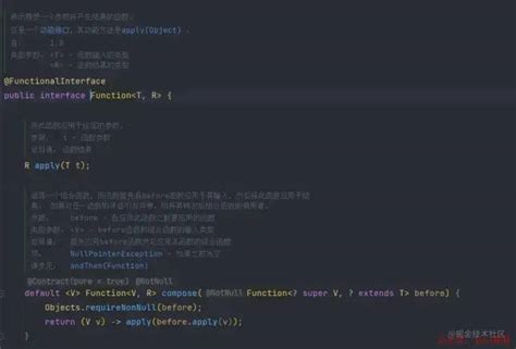 妙用java 8中的 Function接口，消灭ifelse（非常新颖的写法）java 8 Function Csdn博客