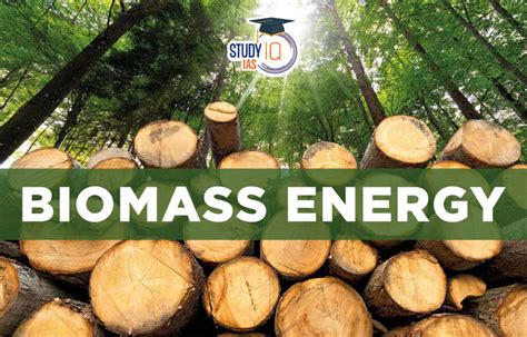 Biomass Energy Sources Advantages Disadvantages Challenges