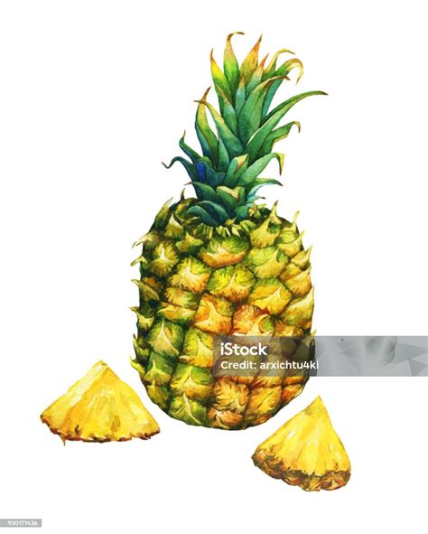 녹색 잎과 익은 파인애플 수채화 손으로 그린 그림을 흰색 배경에 고립 된 그림 초대장 인사말 카드 섬유 디자인 패키지에 대 한 건강한 식생활에 대한 스톡 벡터 아트 및 기타