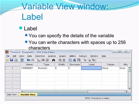 spss lecture notes ppt