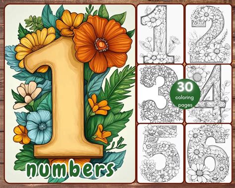 30 Numbers Coloring Book Grayscale Numbers Coloring Pages For Adults 30 Numbers Coloring Book Grayscale Numbers Coloring Pages For Adults