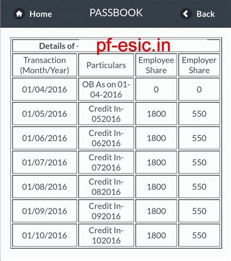 How To Check EPF Balance And View EPF Passbook On Mobile Provident Fund ESIC