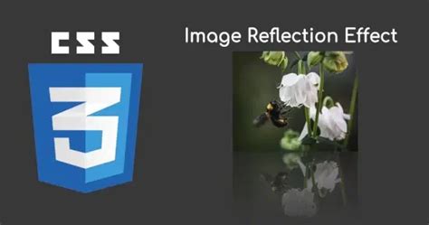 Learn Cascading Style Sheets Css With List Of Examples Page 10 Learn Cascading Style Sheets Css With List Of Examples Page 10