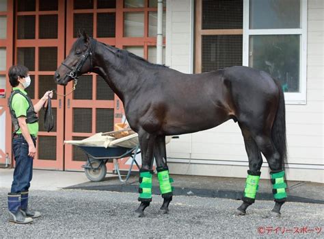ジャスティンパレス馬体診断デイリースポーツ Online
