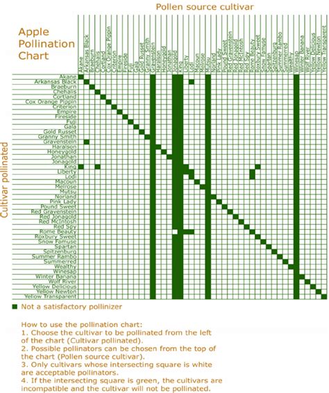 Apple Pollination Synchronization Chart [40] Download Scientific Diagram