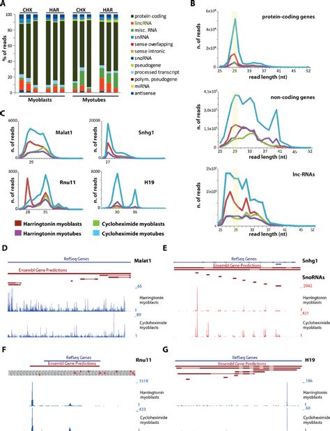 a percentage of reads mapped to coding and non coding genes in
