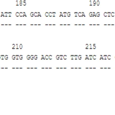 Nucleotide Sequence Alignment Exon 4 Of Hla‐dqa170219 Compared To