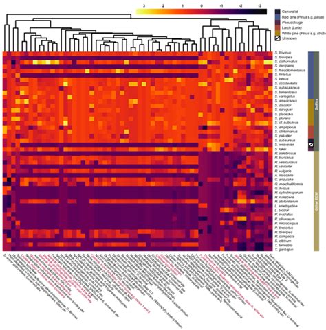 真菌基因组研究高分策略（二）：比较基因组揭示寄主外生菌根真菌基因组的动态进化 知乎