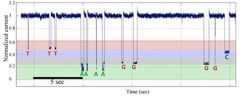 Single Molecule Nanopore Dna S [image] Eurekalert Science News Releases