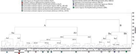 Dendrogram resulting from cluster analysis of the relevés Download