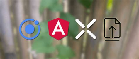 Ionic 8 Angular 20 Standalone Base64 Image Upload With Capacitor 5