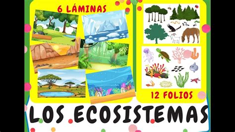 Los Ecosistemas Láminas Recortables Youtube
