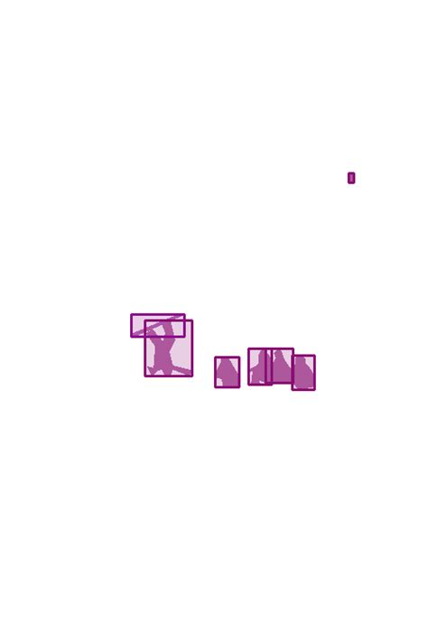 coco 2017 dataset ninja