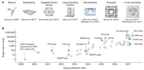 Flowchart Of The Scrnaseq Protocols