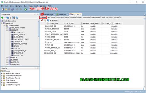 Cài đặt Sql Developer để Kết Nối Với Oracle Database