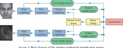 Figure 3 From An Overview Of Multimodal Biometrics Using The Face And