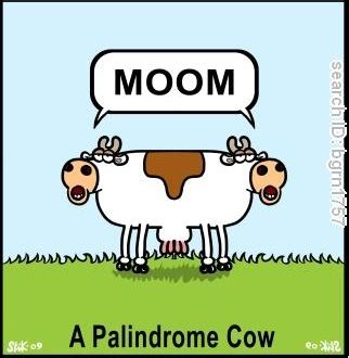 Palindrome Blog De Cristina