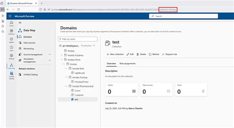 How To Bulk Delete Assets In Microsoft Purview Unified Catalog Using Python By Marco Österlin