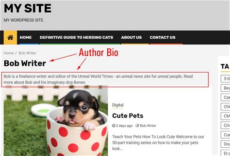 A Basic Guide To Html For Wordpress Users Wordpress For Non Techies Free Wordpress Tutorials