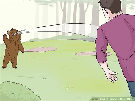 How To Survive A Bear Attack 11 Steps With Pictures Wikihow