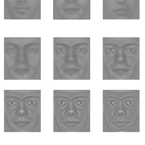 Face Recognition Contrast Sensitivity Functions Of The Computational Download Scientific