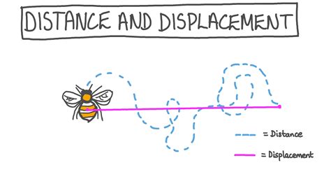 Distance And Displacement Worksheet E