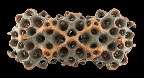 Interconnected Forms Cellular Structure Abstract Symbolizing Cellular