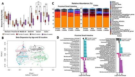 Melanie O On Linkedin Gut Biogeography Accentuates Sex Related Differences In The Murine…