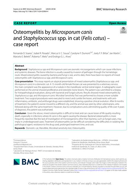 Pdf Osteomyelitis By Microsporum Canis And Staphylococcus Spp In Cat Felis Catus Case Report