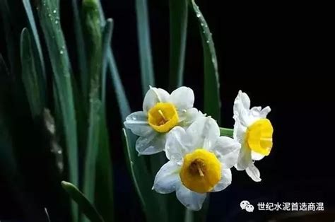 慎言慎行慎独慎微慎欲慎友慎初慎终 搜狐大视野 搜狐新闻