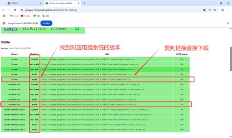 Selenium安装 注意全程联网操作selenium镜像源 Csdn博客