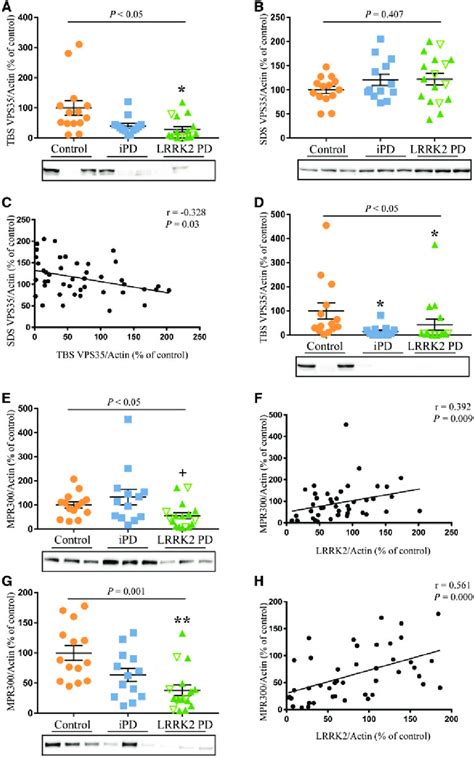 Reduced Tbs Soluble Vps35 And Reduced Mpr300 In Lrrk2 Mutation Cases Download Scientific