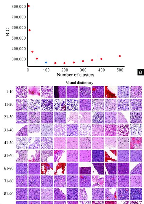 Visual Dictionary Optimization And Visualization A To Determine The Download Scientific