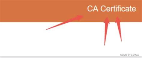 burp suite抓不到本地包 localhost包问题解决汇总 使用burp抓localhost的包 csdn博客
