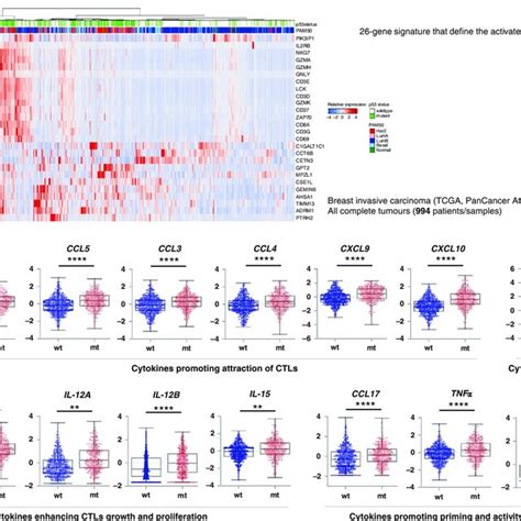 Analysis Of Gene Expression Patterns Reveals Enhanced Ctls Infiltration